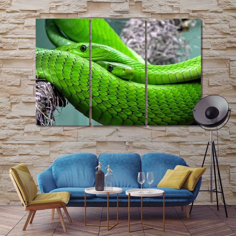 Snakes Large Canvas Print Wall Art Multi Panel Set Reptiles | Etsy