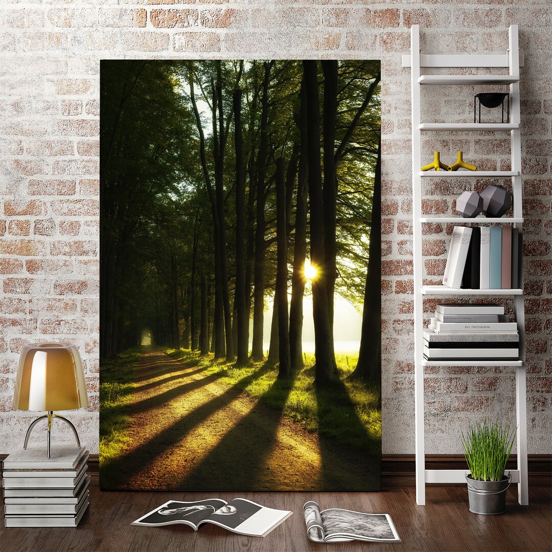 Sun Rays Through Green Trees Art Print on Canvas, Forest Print Canvas ...