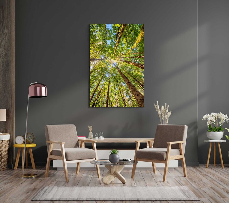 Green Trees Home Decor Art Trees Wall Decor Prints Forest - Etsy