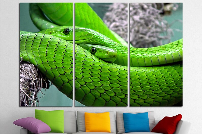 Snakes Large Canvas Print Wall Art Multi Panel Set Reptiles | Etsy