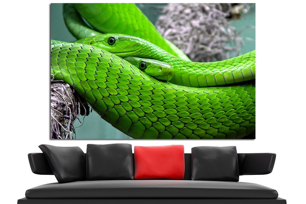 Snakes Large Canvas Print Wall Art Multi Panel Set Reptiles | Etsy