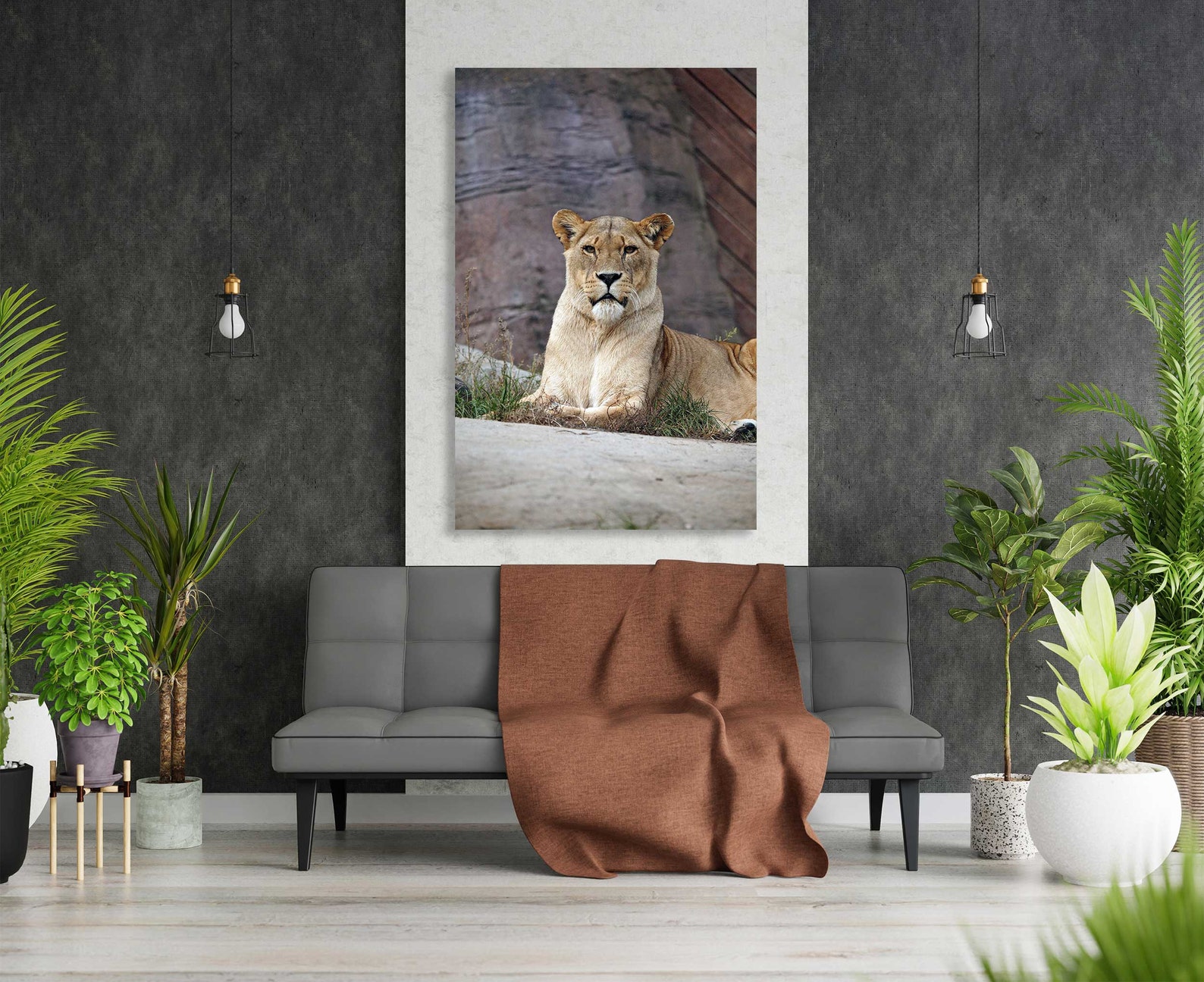 Canvas Art of Lioness, Lioness Framed Wall Pictures, Wild Animal Art ...