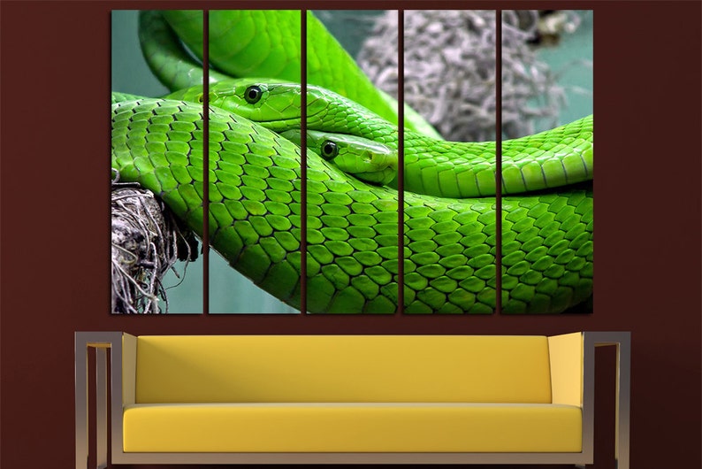 Snakes Large Canvas Print Wall Art Multi Panel Set Reptiles | Etsy