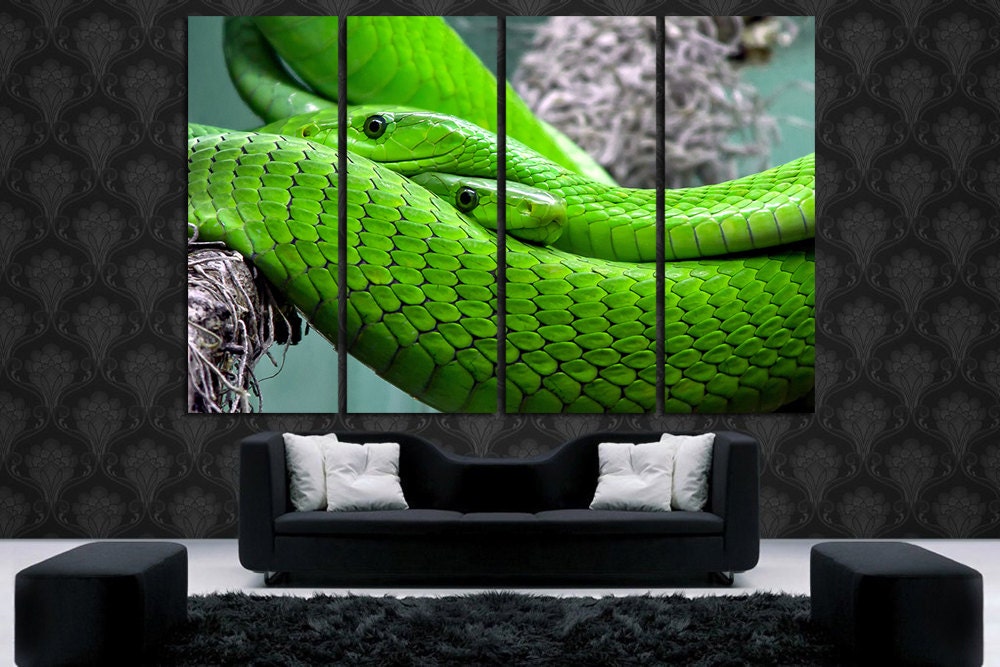Snakes Large Canvas Print Wall Art Multi Panel Set Reptiles | Etsy
