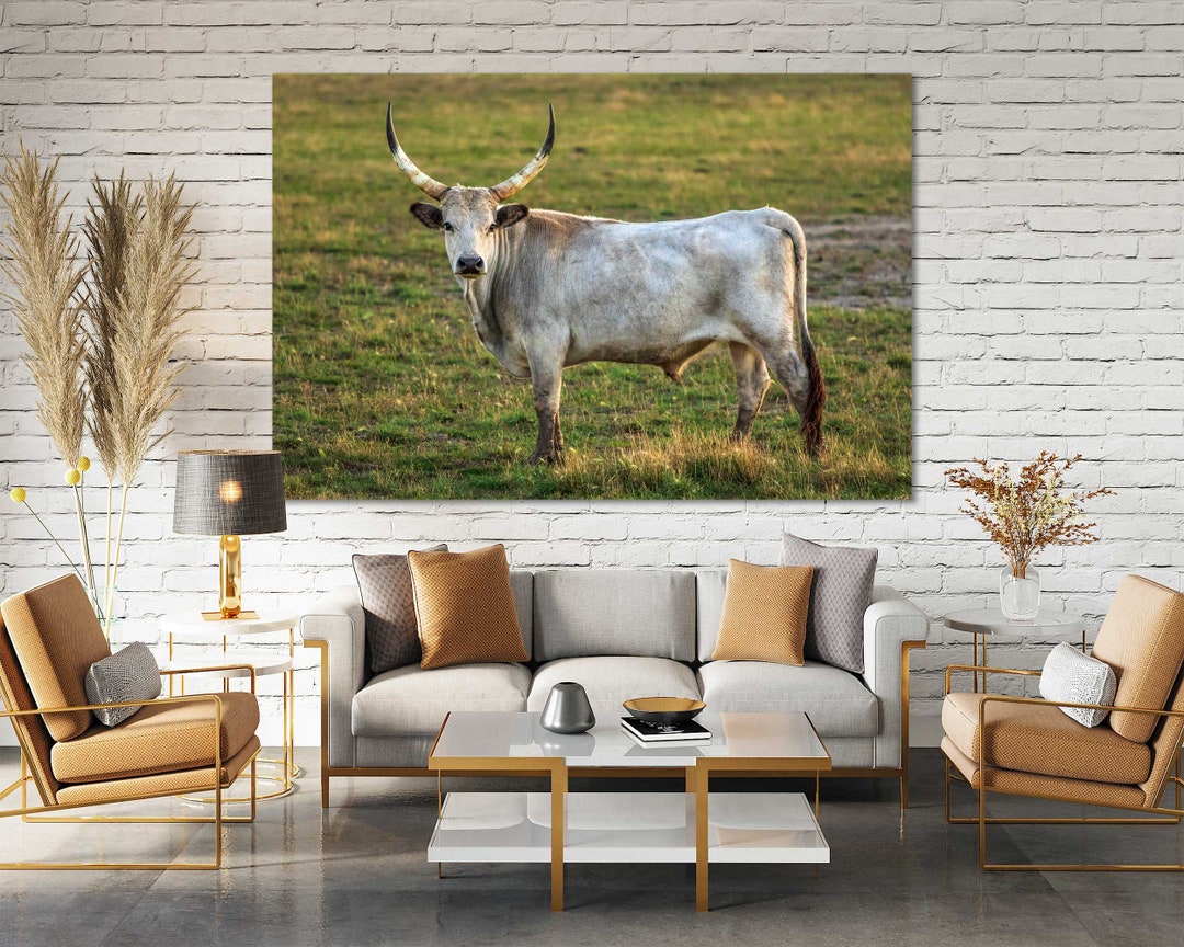 Longhorn Bull Pictures for Living Room Walls, Bull Wall Decor, Bull ...