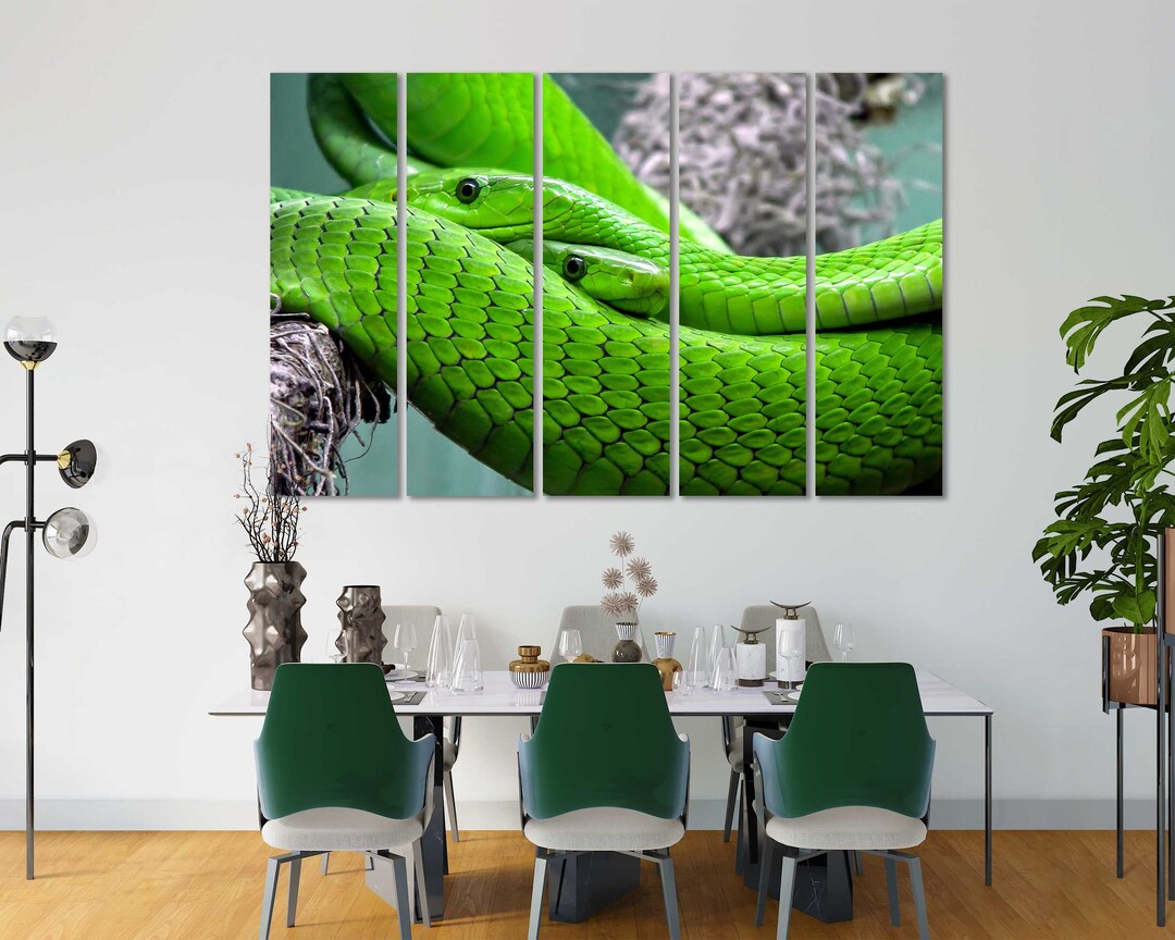 Snakes Large Canvas Print Wall Art Multi Panel Set Reptiles - Etsy