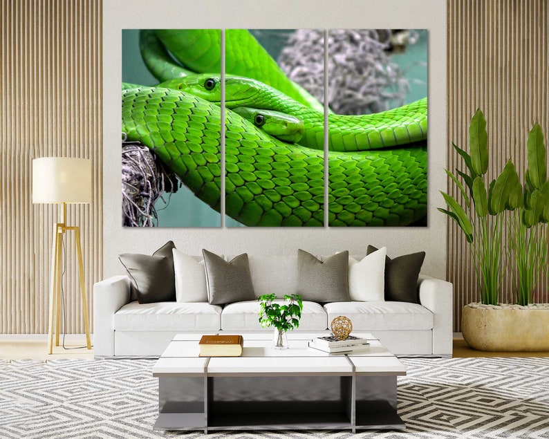 Snakes Large Canvas Print Wall Art Multi Panel Set Reptiles - Etsy