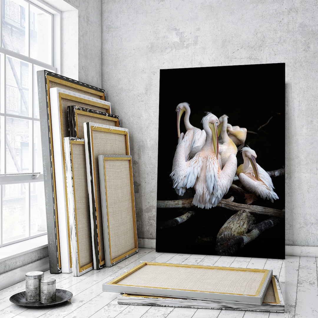 Pink Pelicans Stylish Photo Art for Wall, Pelicans Print Canvas Wall ...