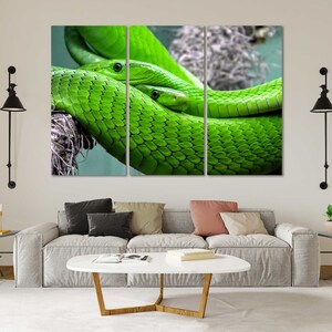 Snakes Large Canvas Print Wall Art Multi Panel Set Reptiles - Etsy
