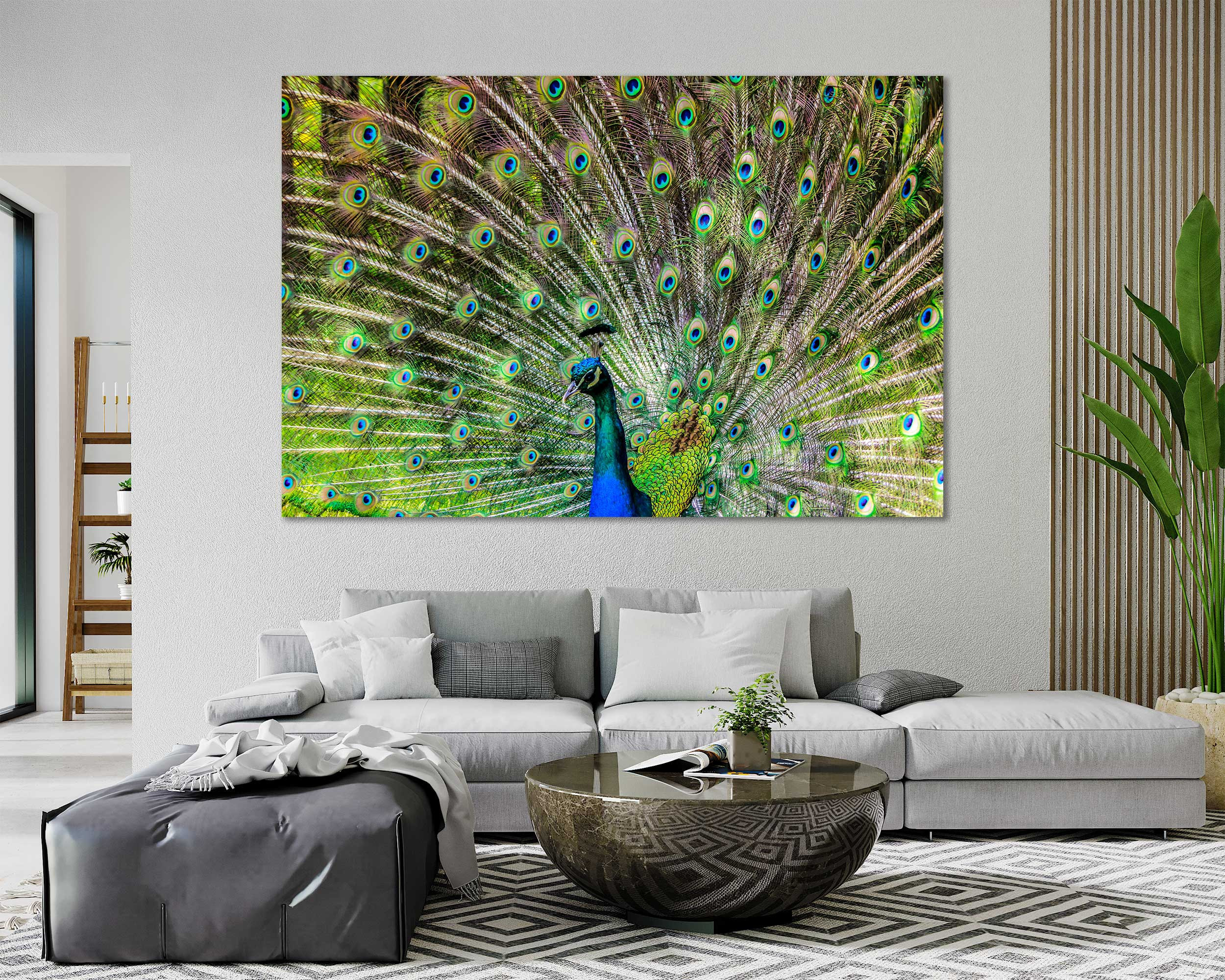 Peacock Print Designs