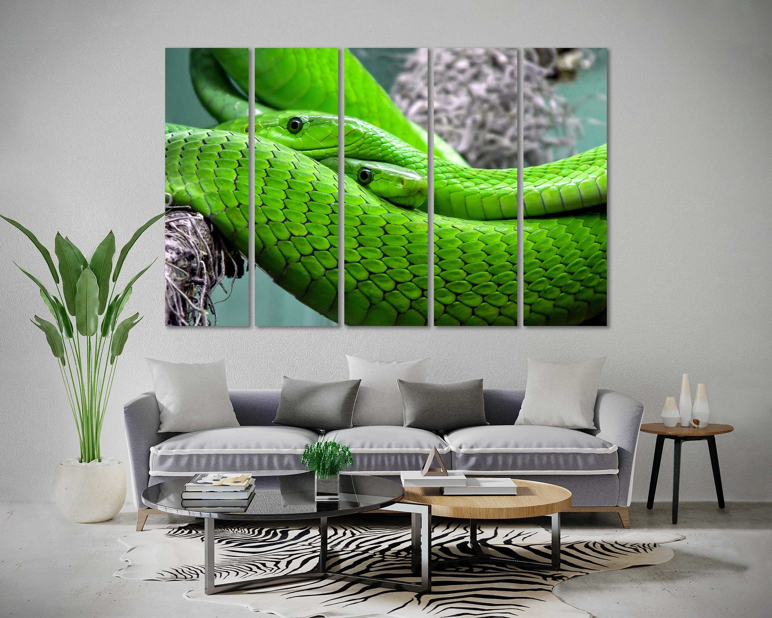 Snakes Large Canvas Print Wall Art Multi Panel Set Reptiles - Etsy