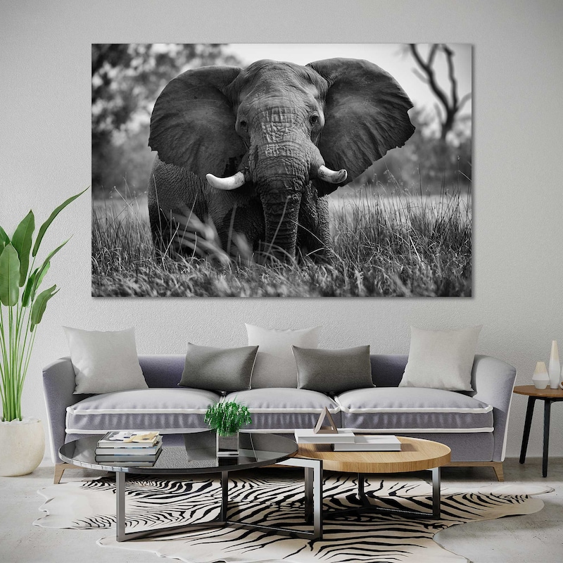Elephant Canvas - Etsy