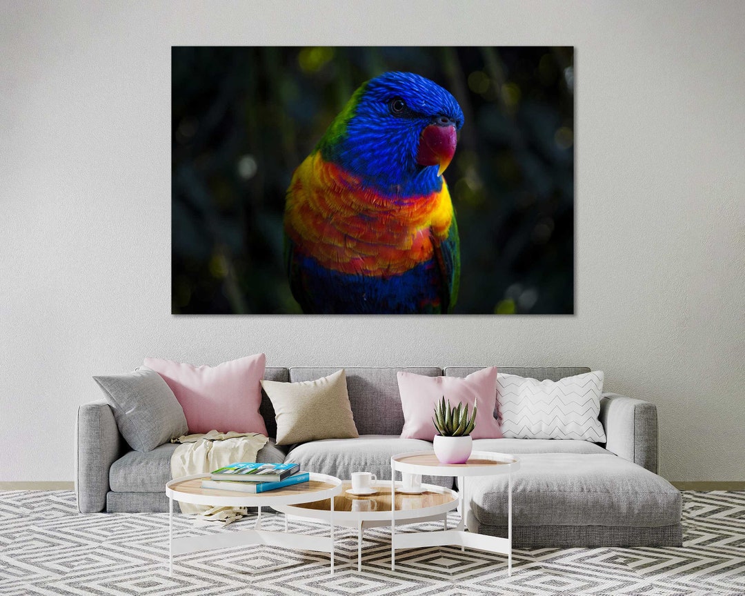Parot Bird Print Parot Art Parot Wall Art Parot Wall Decor Parot Canvas ...