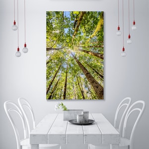 Green Trees Home Decor Art, Trees Wall Decor Prints, Forest Wall Art ...
