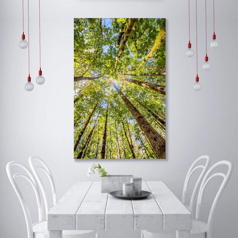 Green Trees Home Decor Art Trees Wall Decor Prints Forest | Etsy