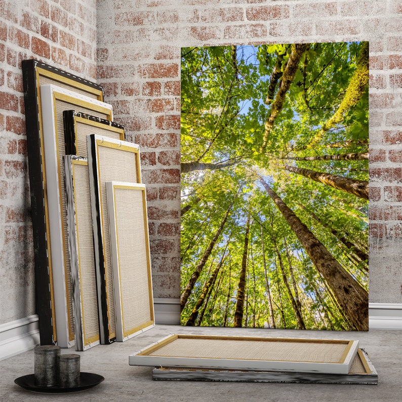 Green Trees Home Decor Art Trees Wall Decor Prints Forest | Etsy