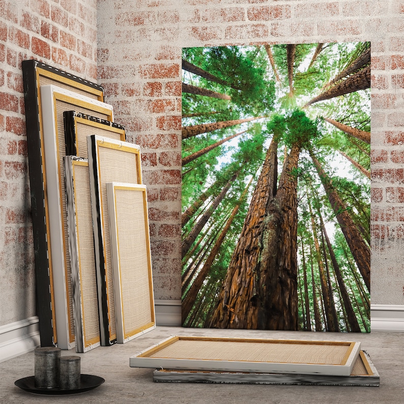 Forest Trees wall home decor Green Forest Trees wall art for | Etsy