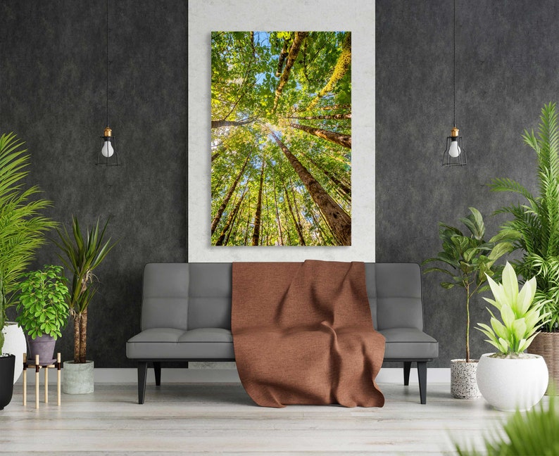 Green Trees Home Decor Art Trees Wall Decor Prints Forest - Etsy