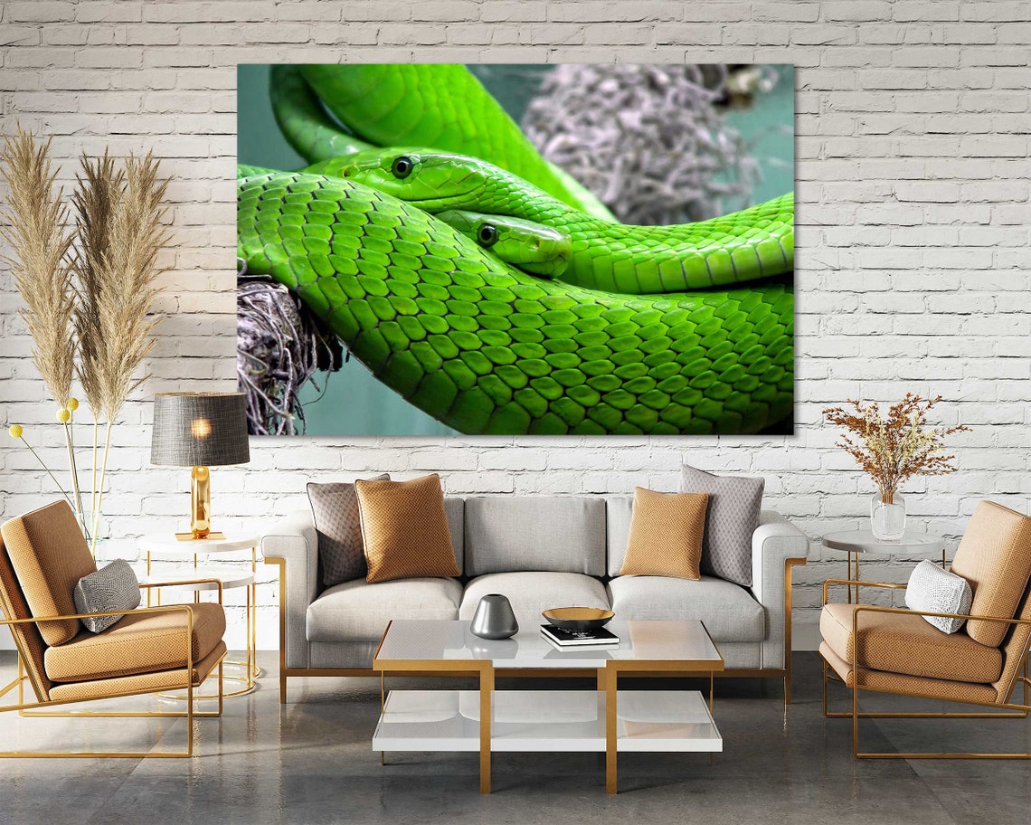 Snakes Large Canvas Print Wall Art Multi Panel Set Reptiles - Etsy