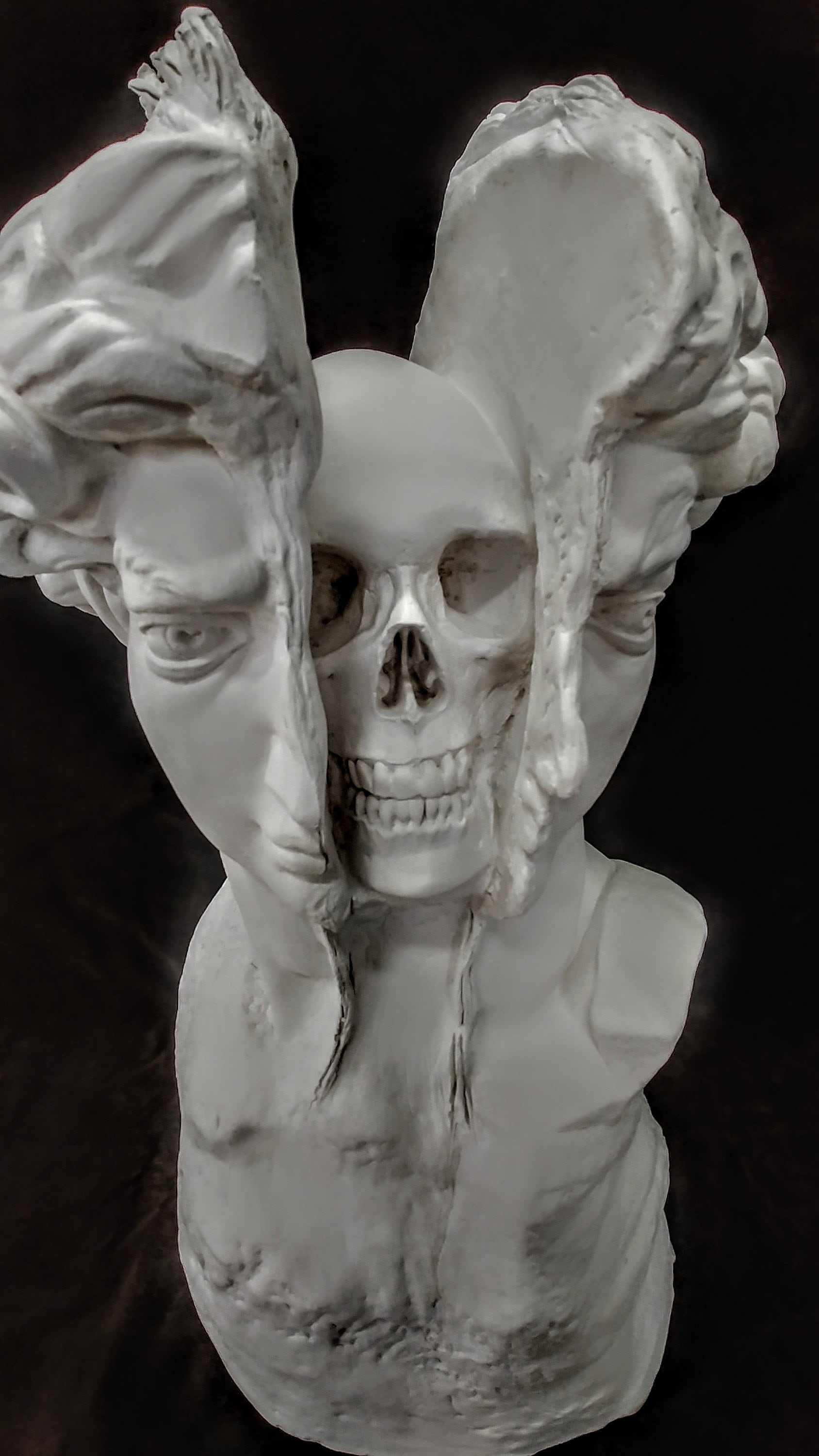 David's Split Skull - Etsy