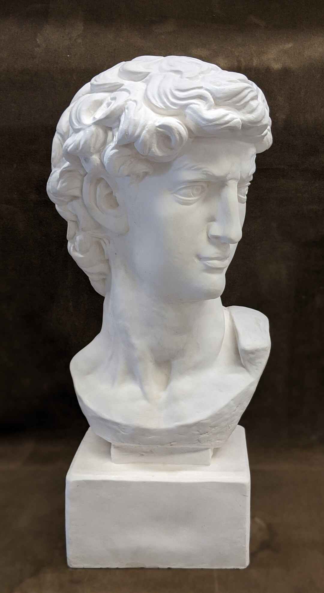 David Plaster Bust - Etsy