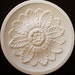 Plaster Enrichment - Etsy