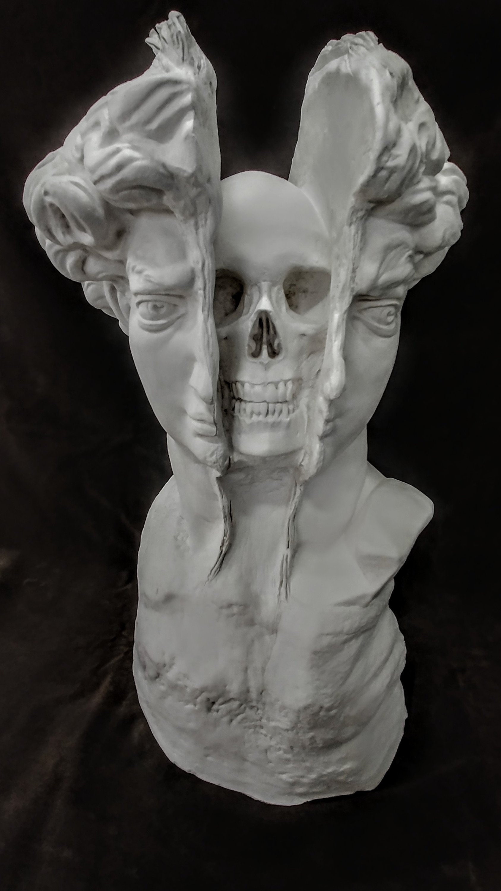 David's Split Skull - Etsy