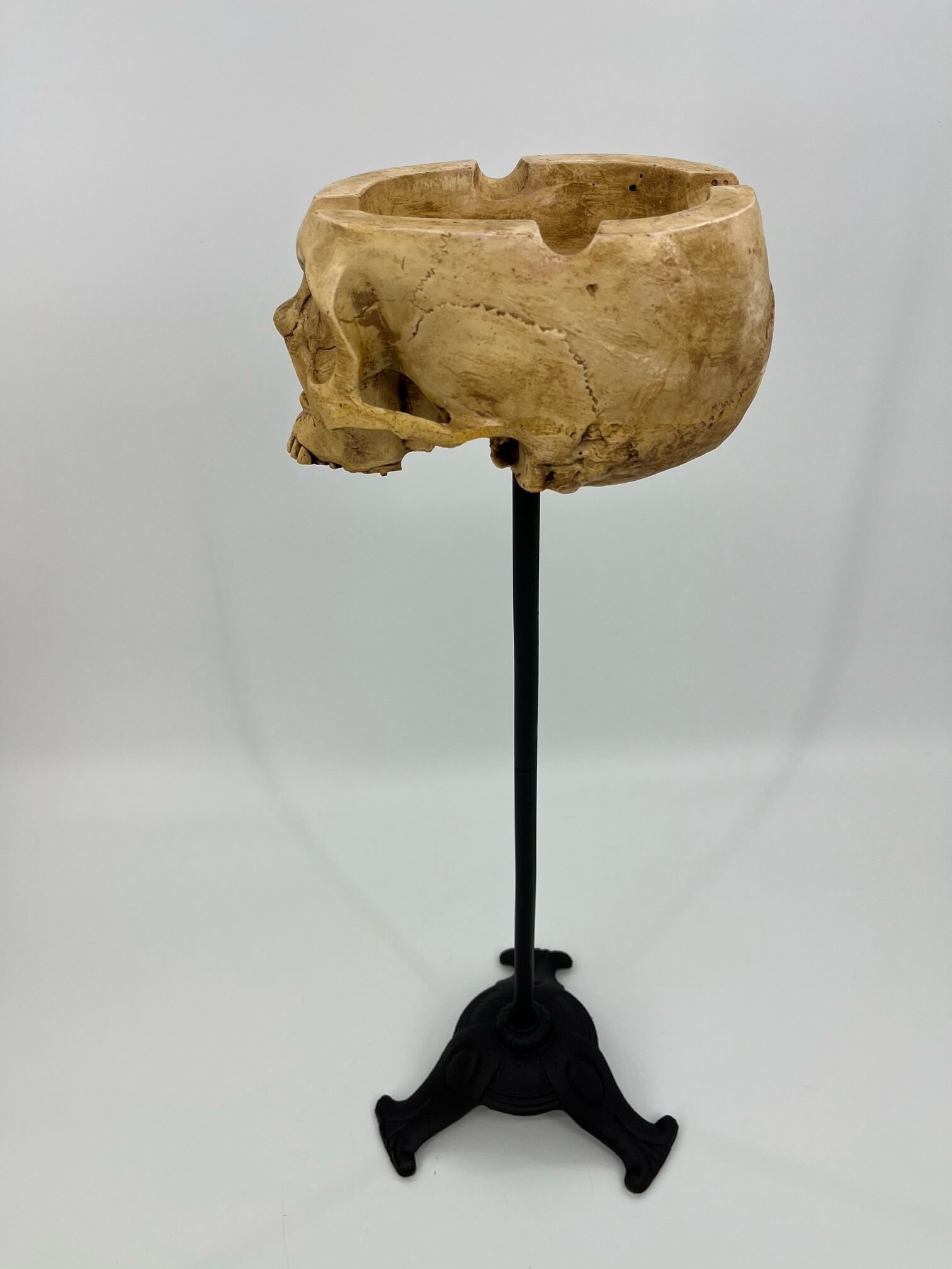 Skull Ashtray With Cast Iron Stand - Etsy