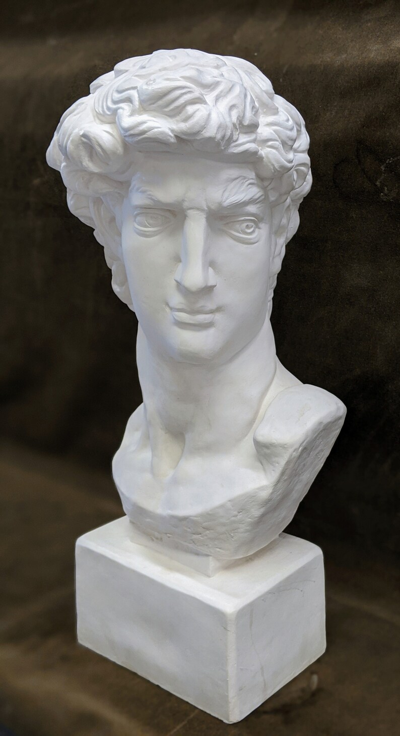 David Plaster Bust - Etsy