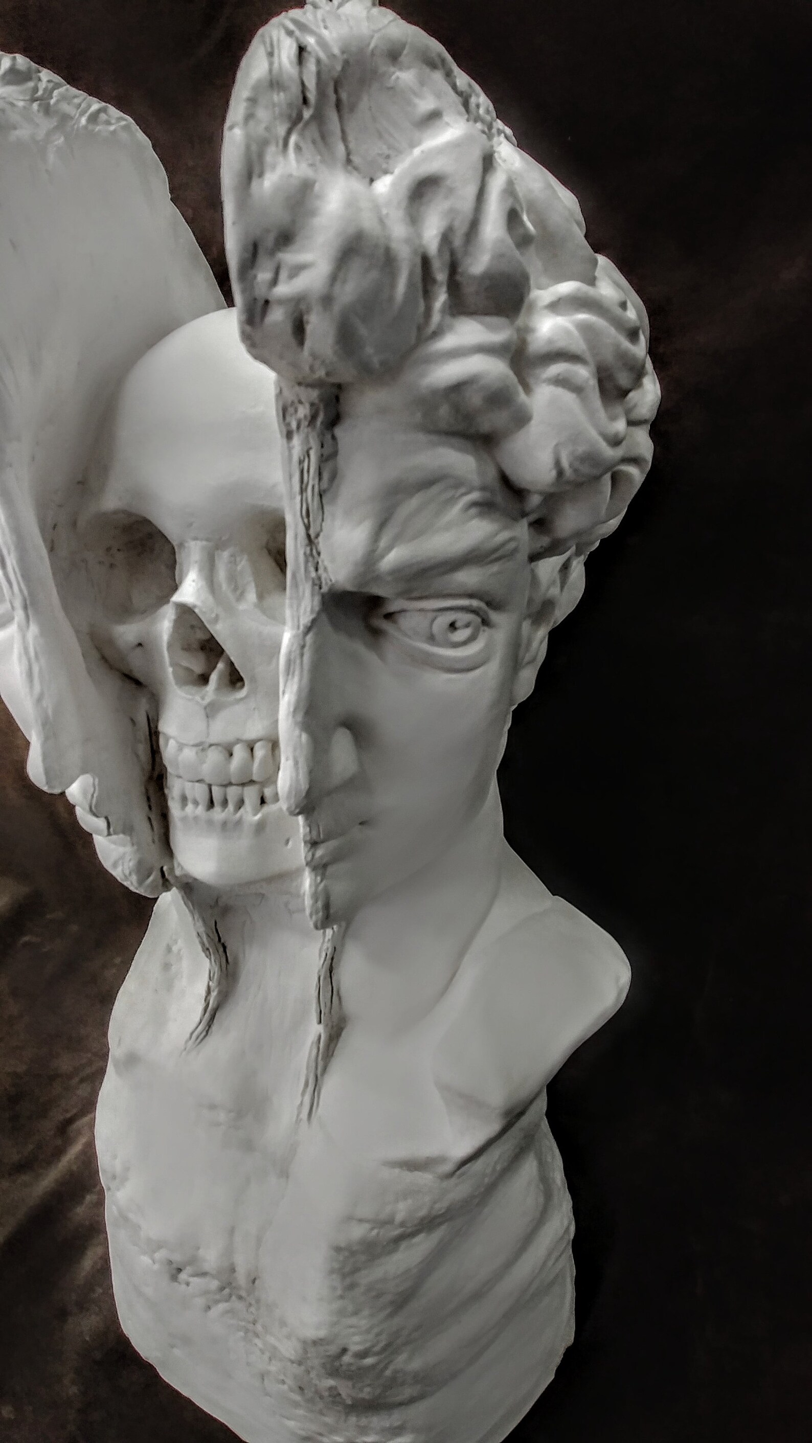 David's Split Skull - Etsy