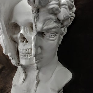 David's Split Skull - Etsy