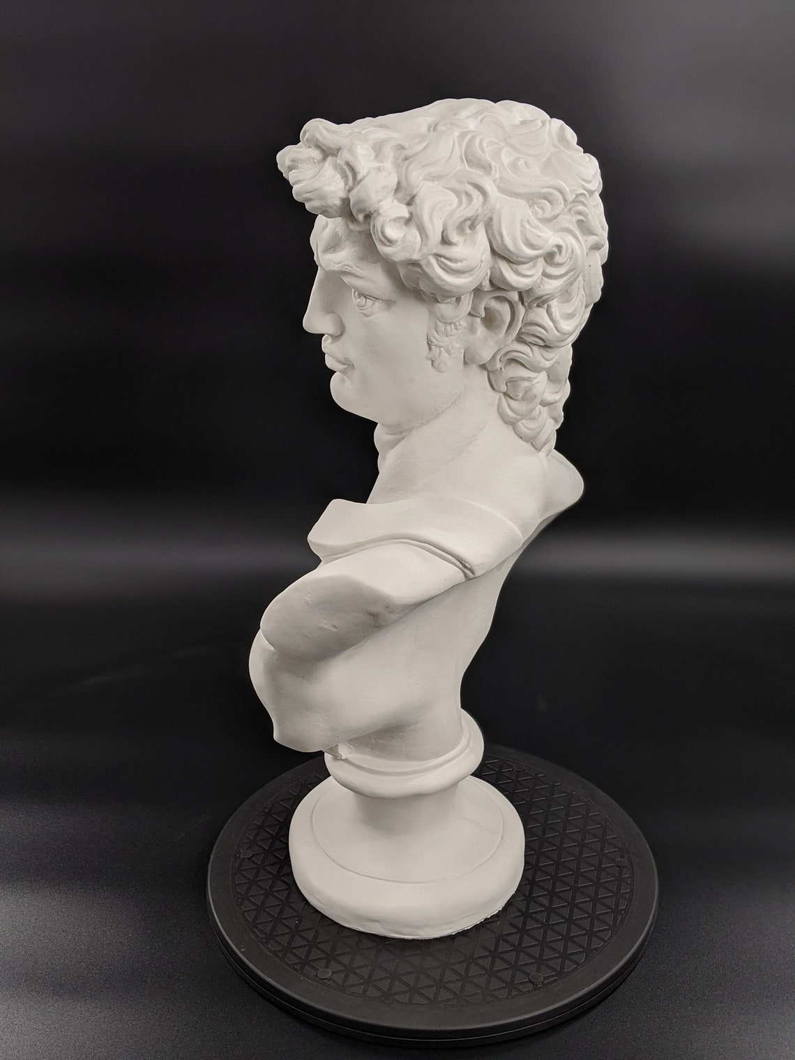David Plaster Bust Medium - Etsy