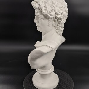 David Plaster Bust Medium - Etsy
