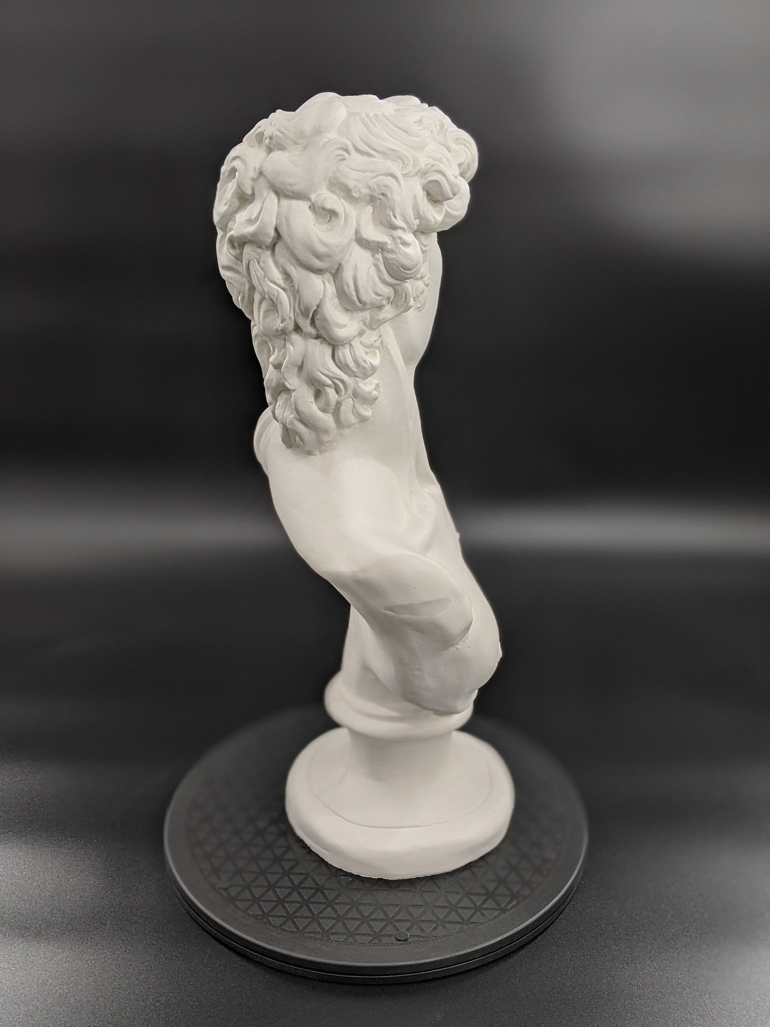 David Plaster Bust Medium - Etsy