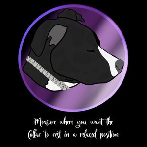 Unicorn Magic, Unicorn Colors, Dog Bead Collar, Colorful, Beaded Dog ...