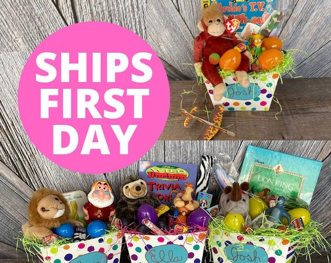 Easter Care Package With Personalized Bunny, Filled Easter Basket, Boy ...