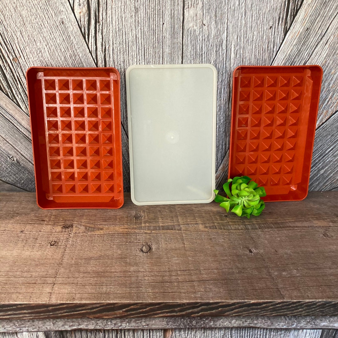 2 Vintage Tupperware Hot Dog Bacon Sandwich Keeper Plastic - Etsy