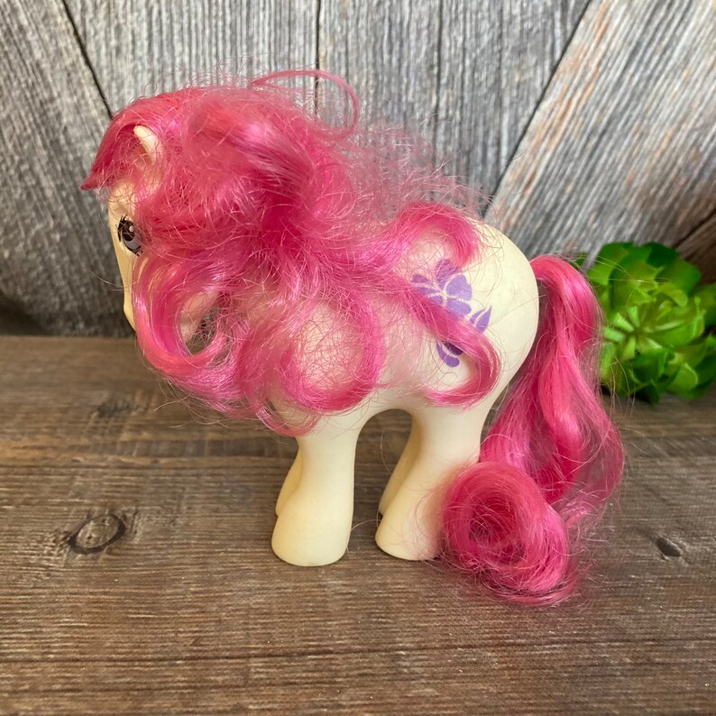 Vintage My Little Pony Birth Flower February Violet Pony - Etsy