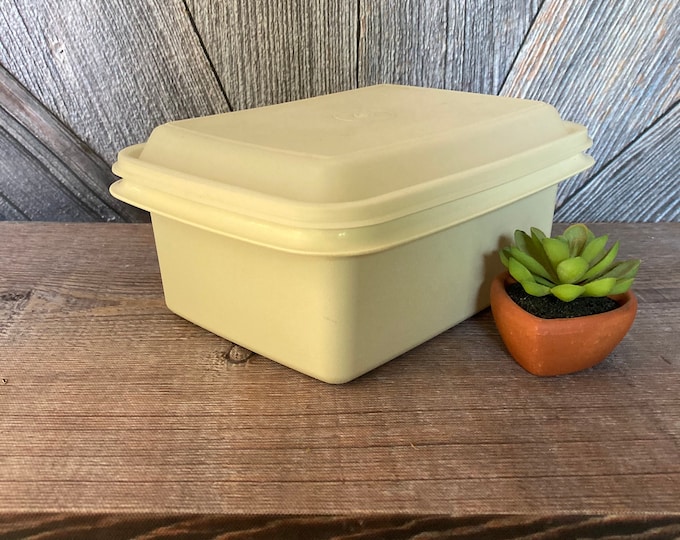 Vintage Tupperware Pack Carry Lunch Box Ice Cream Keeper Freezer ...