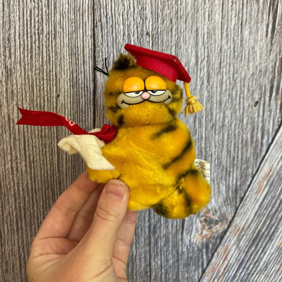 Vintage 1981 Dakin Garfield Plush Clip on Graduate Graduation I ...