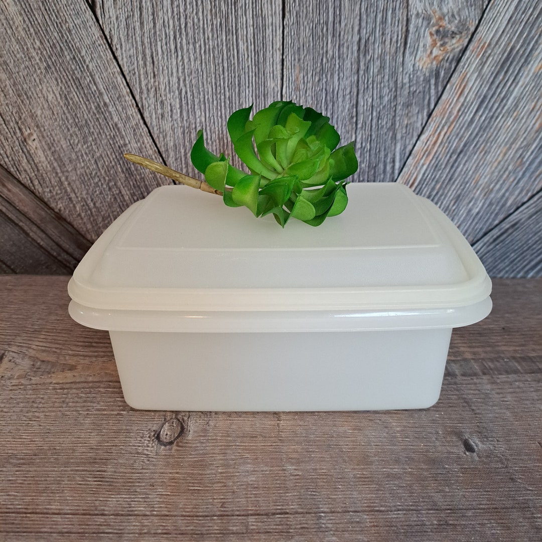 Vintage Tupperware Pack Carry Lunch Box Ice Cream Keeper Freezer ...
