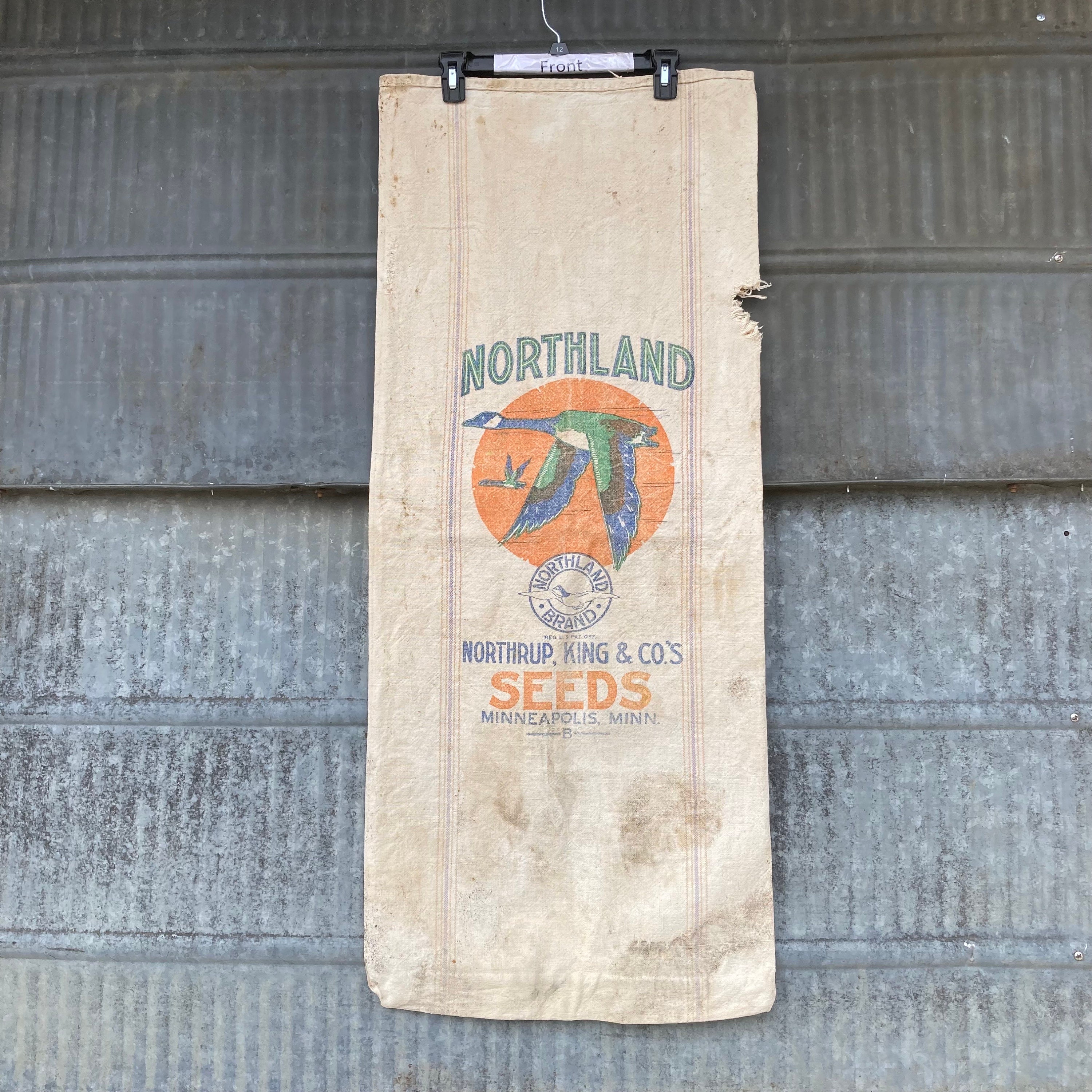 Northrup King Seedling Logo