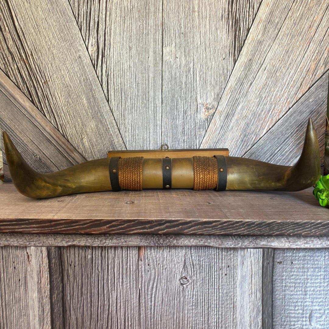 Vintage Bull Horns, Mounted Steer Horns, Western Decor, Longhorn Texas ...