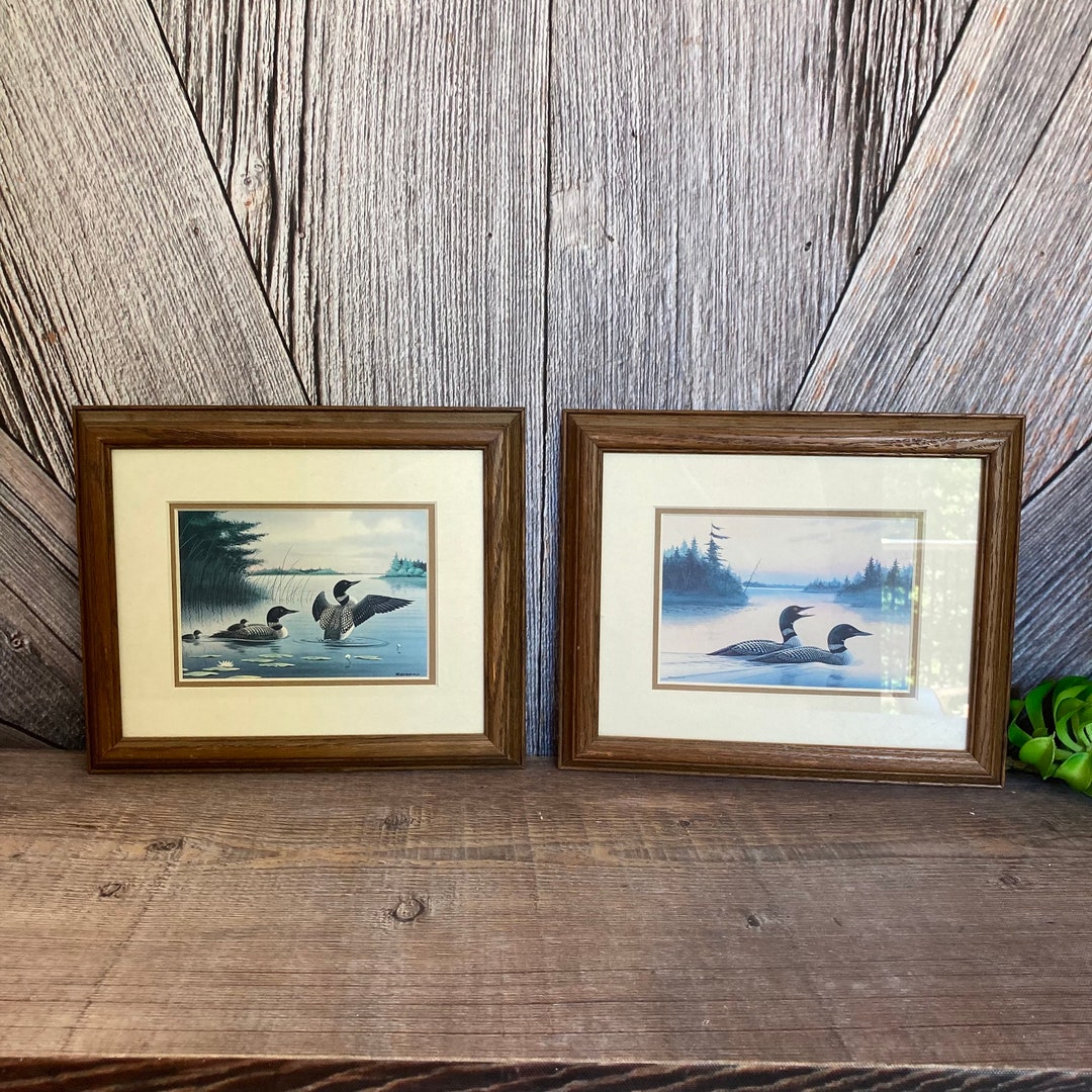 Vintage Loon Prints, Minnesota State Bird, Raedeke Cabin Print, Lake ...