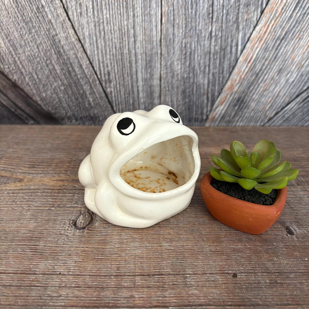 Vintage Ceramic Frog Sponge Holder Handmade Handpainted 70s Ceramic ...