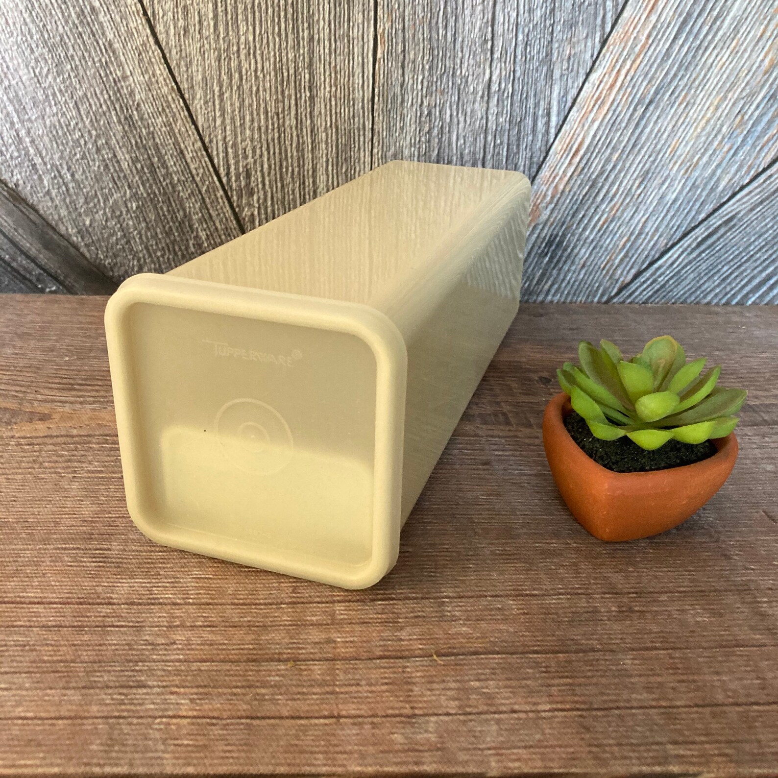 Vintage Tupperware Velveeta Cheese Keeper Cheese Cracker Dish Storage ...