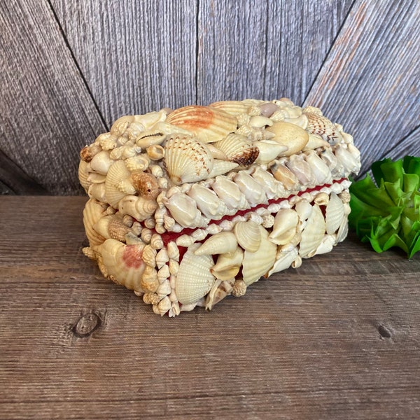 Seashell Jewelry Box - Etsy