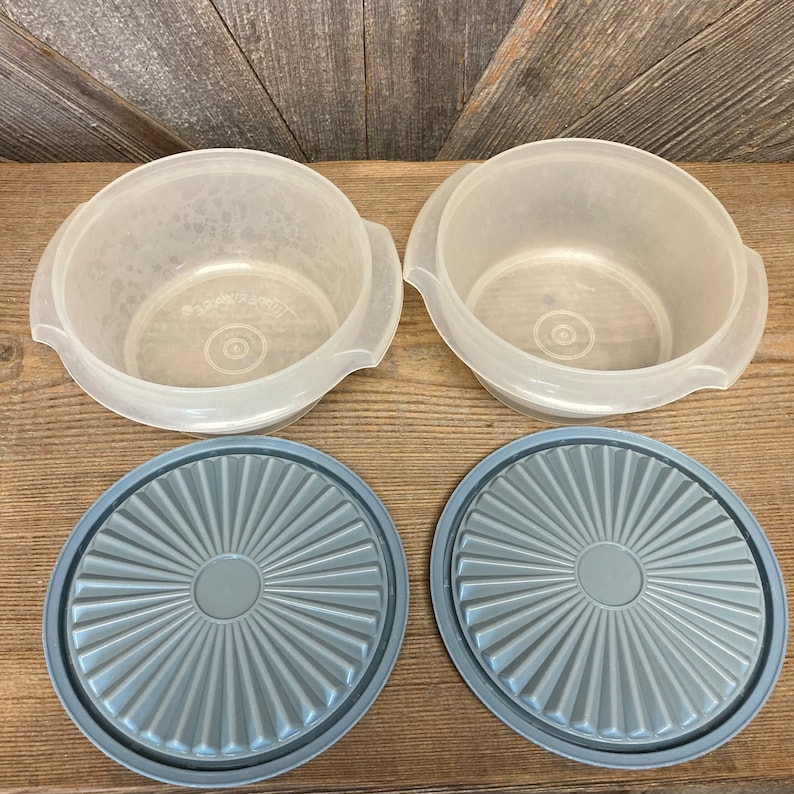 2 Vintage Tupperware Servalier Bowl Set Plastic Round Fall 70s - Etsy