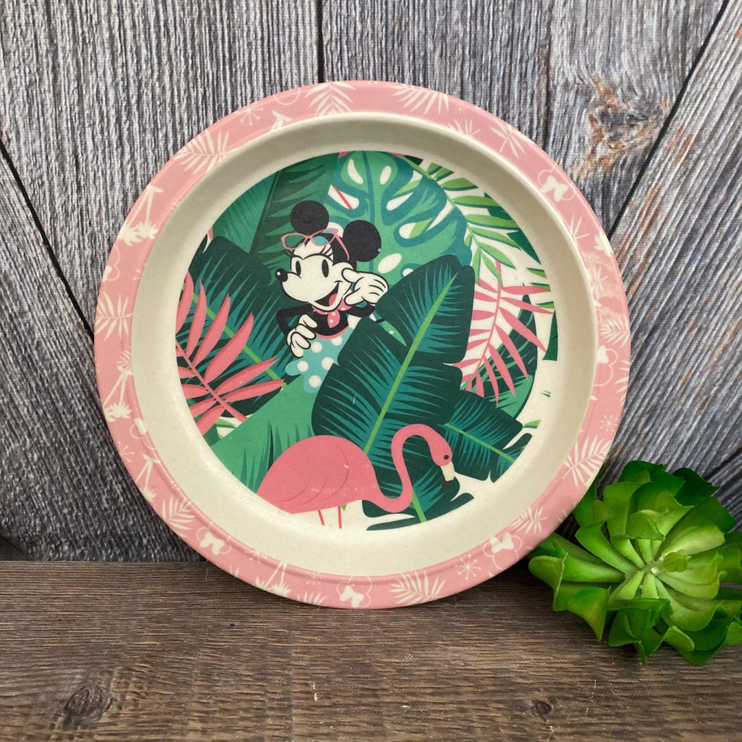 Minnie Mouse Plate tropical Hawaii Disney Melmac Plastic Plate Kids ...