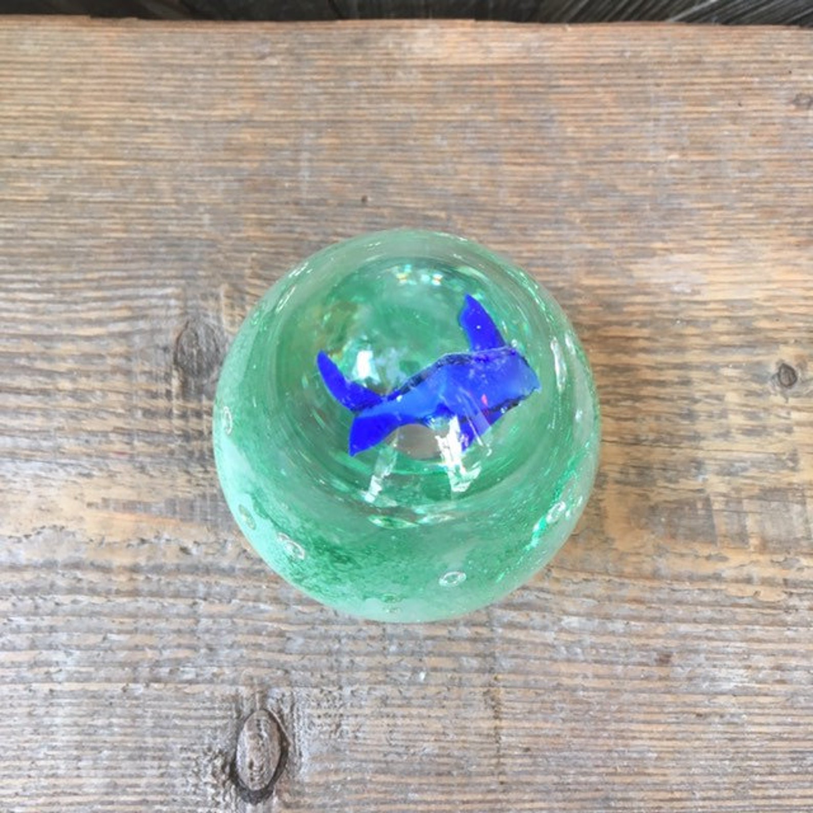 Glass Paperweight small Fish Round Shaped Vintage Paper - Etsy